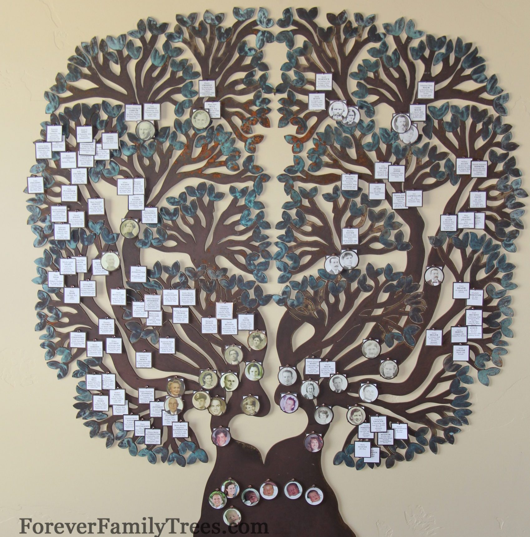 Terms and Conditions of Purchases - Forever Family Trees